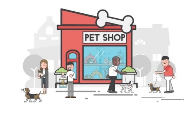 Trabalhar Em Pet Shop: Dicas Para Se Dar Bem Nesse Mercado