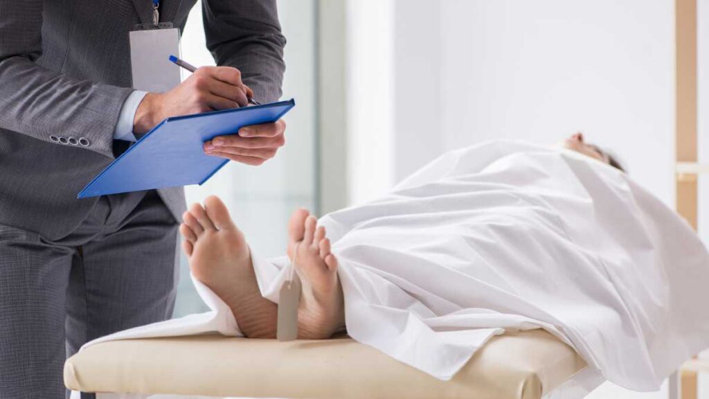 Necropsia: O que é, importância e como se capacitar